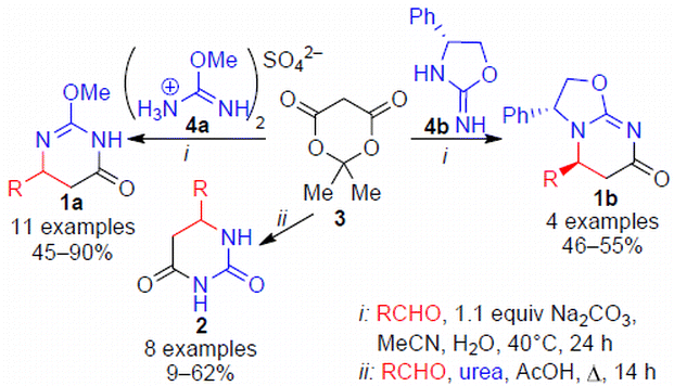 Alkylidene and arylidene Meldrum's acids as versatile reagents for the ...