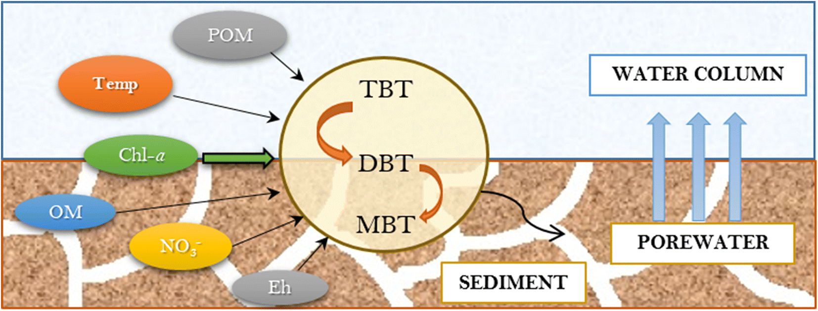 Preliminary studies about the role of physicochemical parameters on the ...