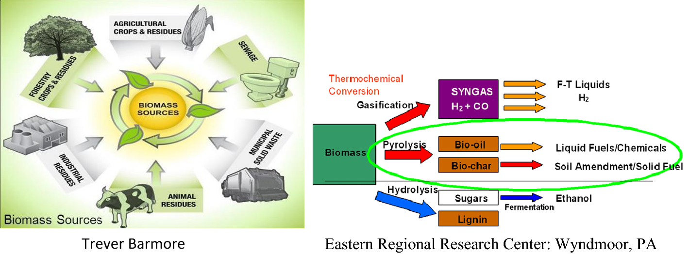Biomass pyrolysis: past, present, and future | SpringerLink