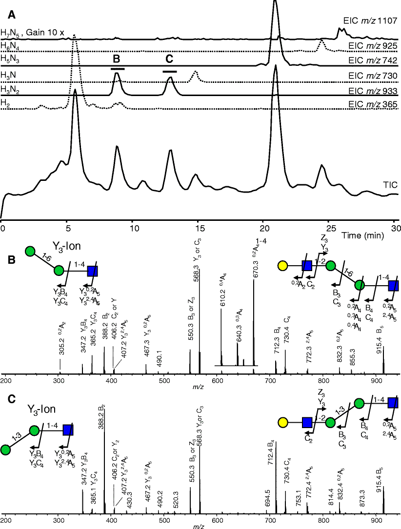 Glycomics using mass spectrometry | SpringerLink
