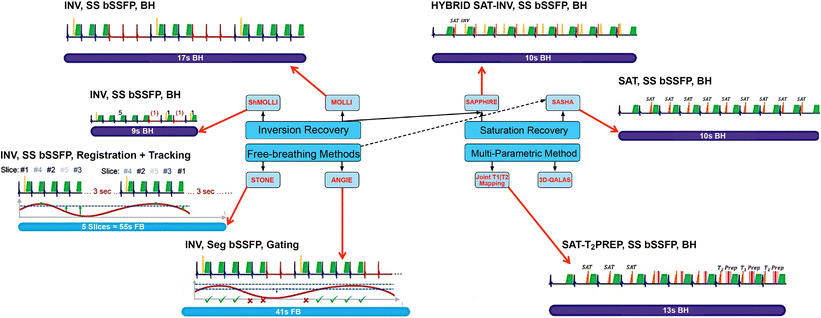 T1 mapping in cardiac MRI | SpringerLink