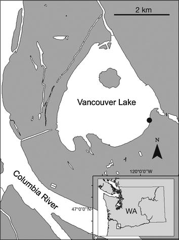 Feeding dynamics of the copepod Diacyclops thomasi before, during and ...