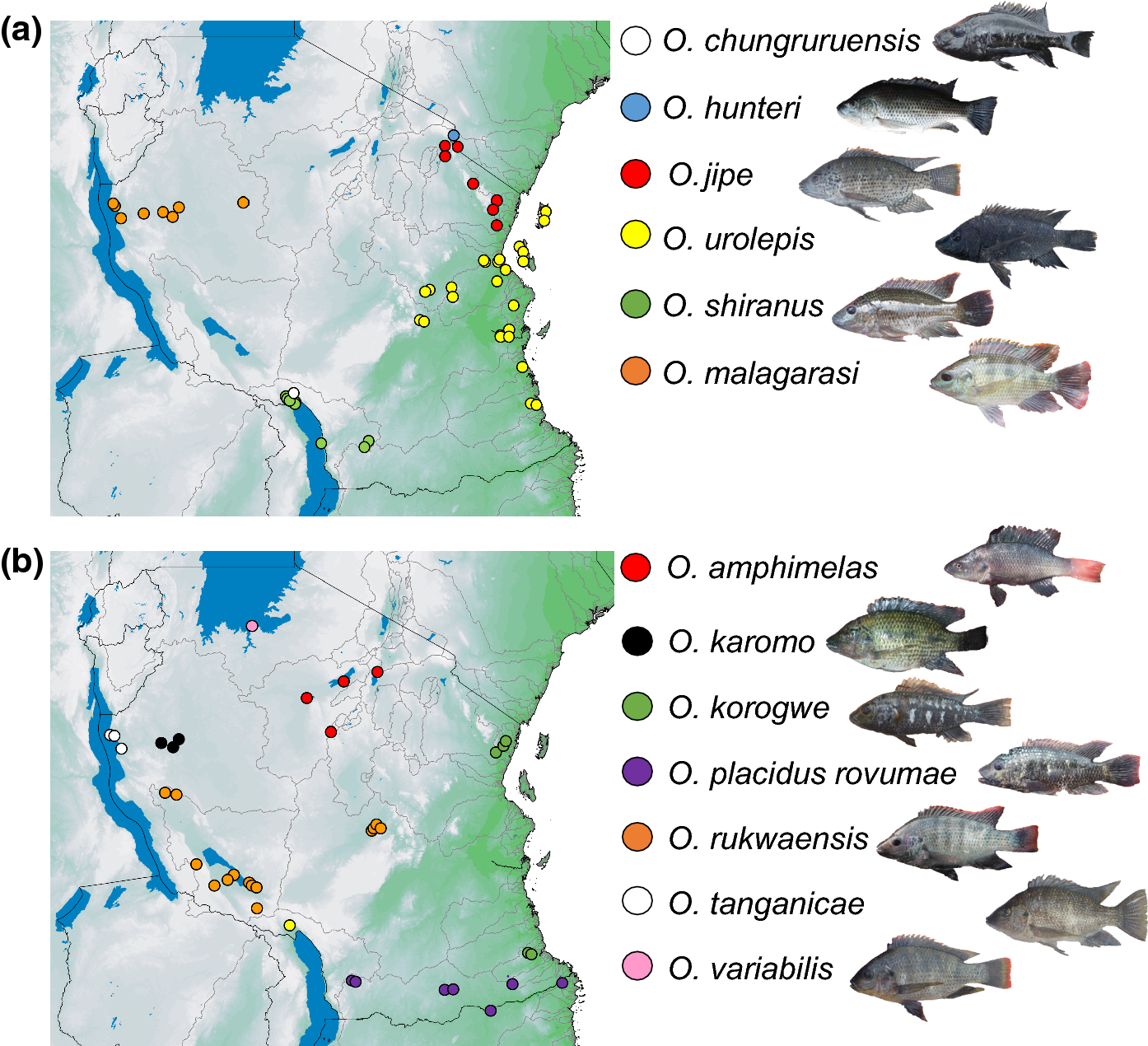 Widespread colonisation of Tanzanian catchments by introduced ...