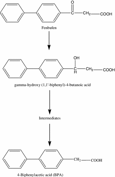 Carrier-linked mutual prodrugs of biphenylacetic acid as a promising ...