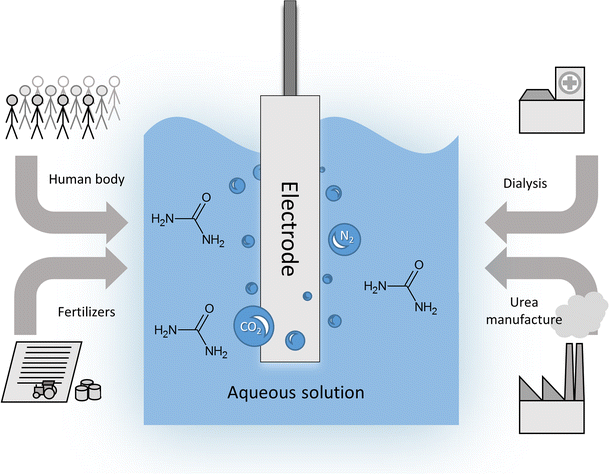 Urea removal from aqueous solutions—a review | SpringerLink