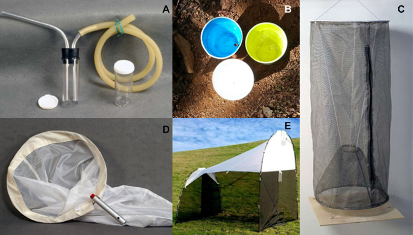Sampling bees in tropical forests and agroecosystems: a review ...