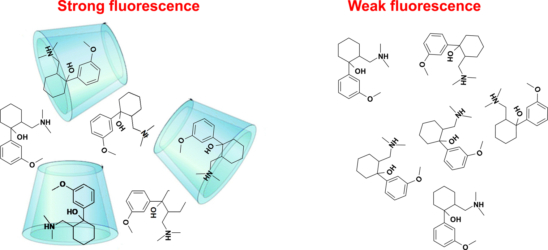Inclusion complex of Tramadol in β-cyclodextrin enhances fluorescence ...