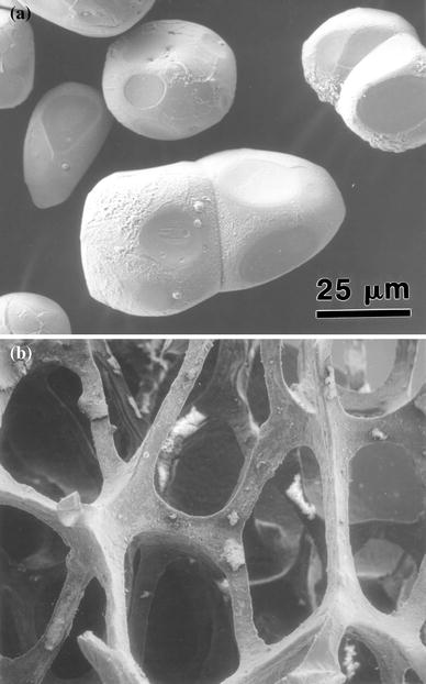 Review: liquid phase sintering | SpringerLink