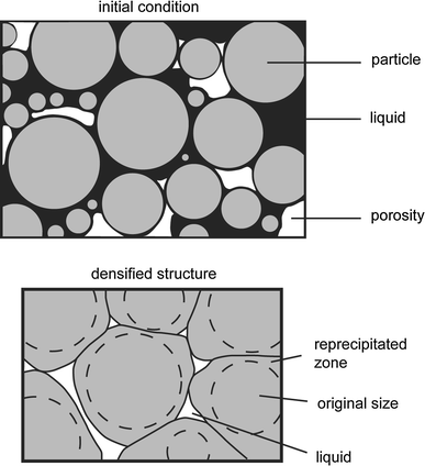 Review: liquid phase sintering | SpringerLink