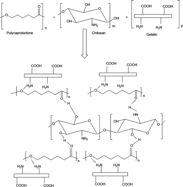 Fabrication and characterization of PCL/gelatin/chitosan ternary nanofibrous composite scaffold ...