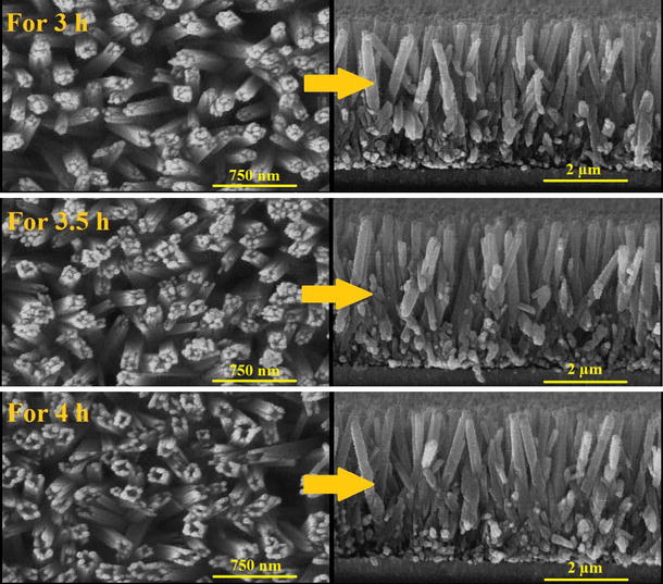 Hydrothermal growth of one-dimensional Ce-doped TiO2 nanostructures for ...