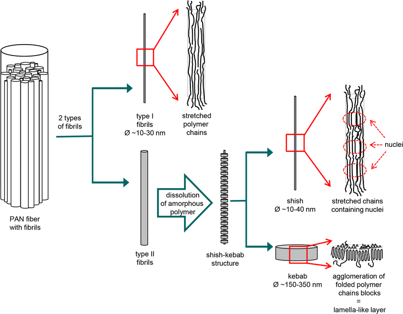 Microscopic investigation of polyacrylonitrile fiber fibrils separated ...