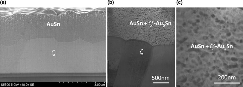 Solidification and interfacial interactions in gold–tin system during ...