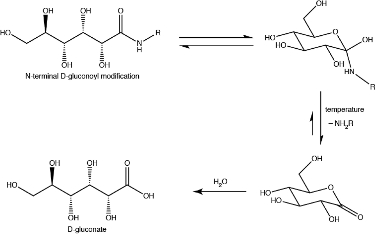 The NMR signature of gluconoylation: a frequent N-terminal modification ...