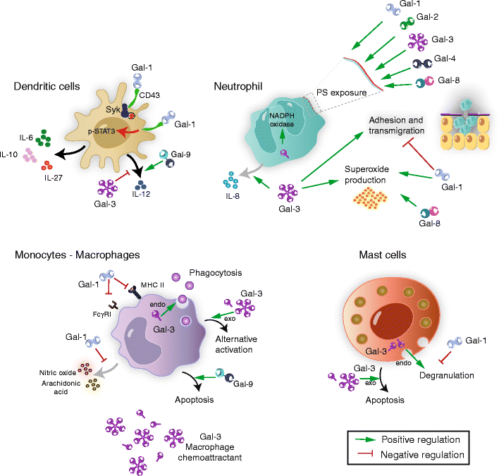 Expanding the Universe of Cytokines and Pattern Recognition Receptors ...