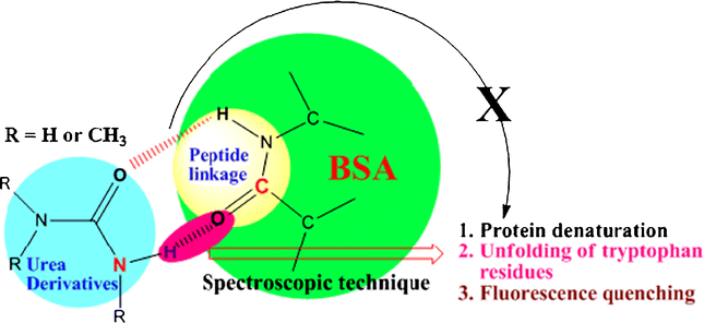 Denaturation Mechanism of BSA by Urea Derivatives: Evidence for ...