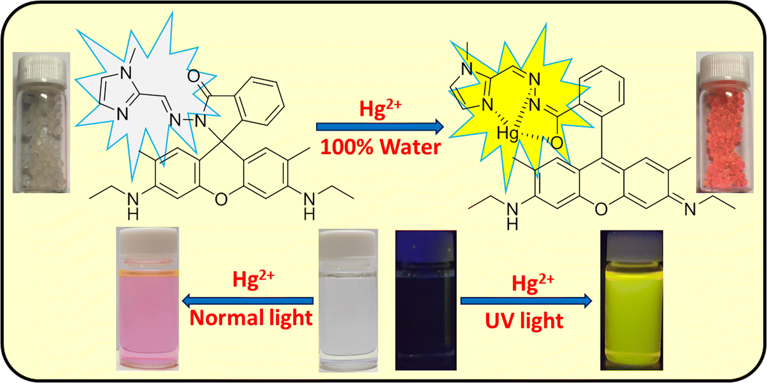 Colorimetric And Turn On Fluorescence Chemosensor For Hg2 Ion Detection In Aqueous Media