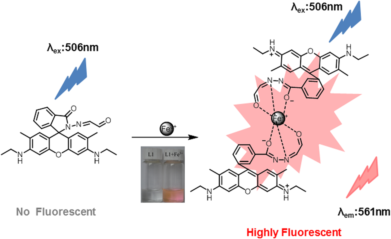 Highly Sensitive and Selective Fluorescent Probe for Detection of Fe3+ Based on Rhodamine ...