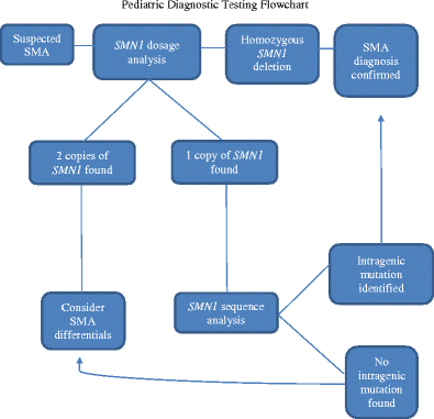 Review of Spinal Muscular Atrophy (SMA) for Prenatal and Pediatric ...