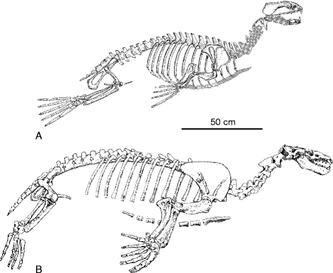 Swimming Mode Inferred from Skeletal Proportions in the Fossil ...