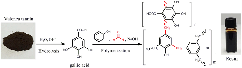 Structural Properties and Copolycondensation Mechanism of Valonea ...