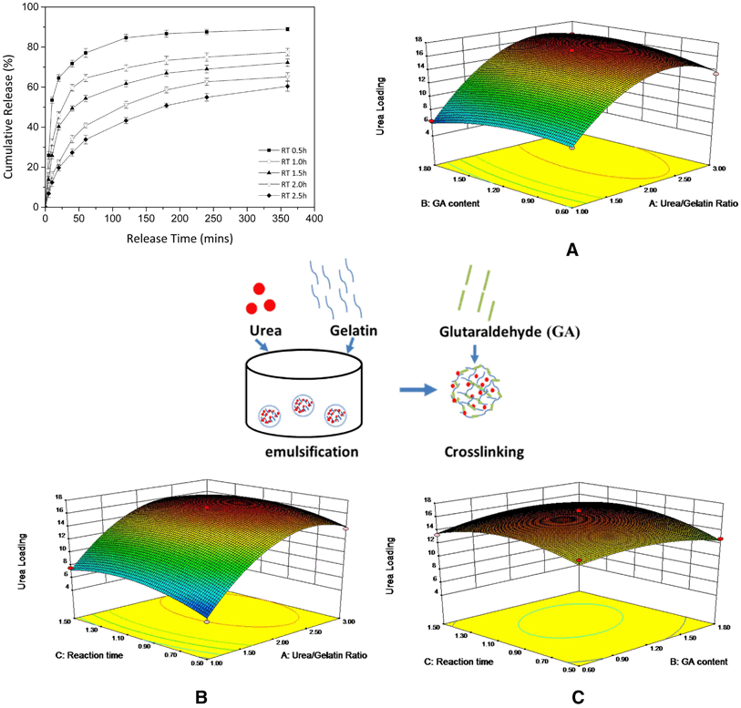 Urea Controlled-Release Fertilizer Based on Gelatin Microspheres ...