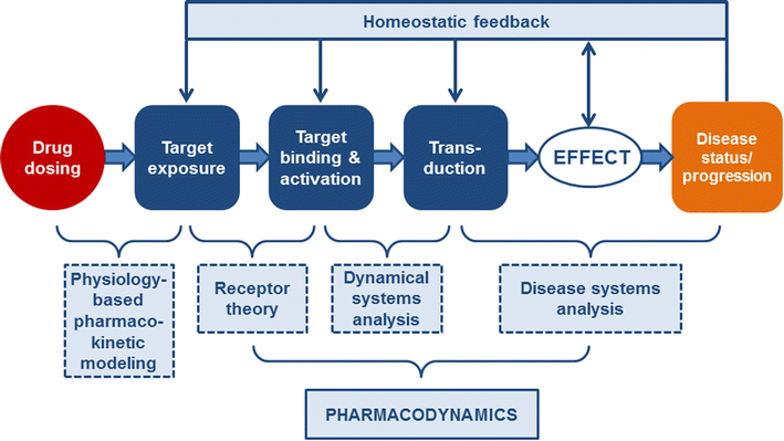 Kinetics of drug action in disease states: towards physiology-based ...