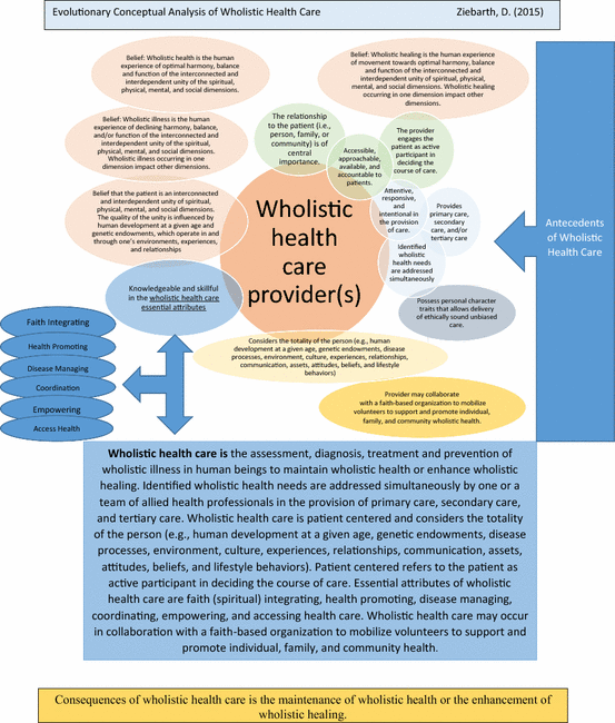 Wholistic Health Care: Evolutionary Conceptual Analysis | SpringerLink