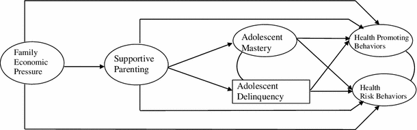 Linking Family Economic Pressure and Supportive Parenting to Adolescent ...