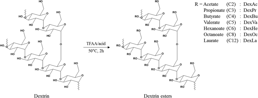 Synthesis and characterization of dextrin derivatives by heterogeneous ...