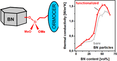 BN—hybrid polymer composites: influence of particle surface ...