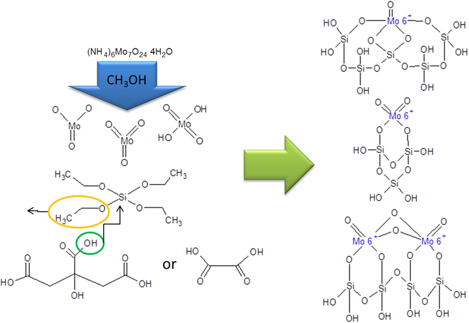 Structuring-agent role in physical and chemical properties of Mo/SiO2 ...