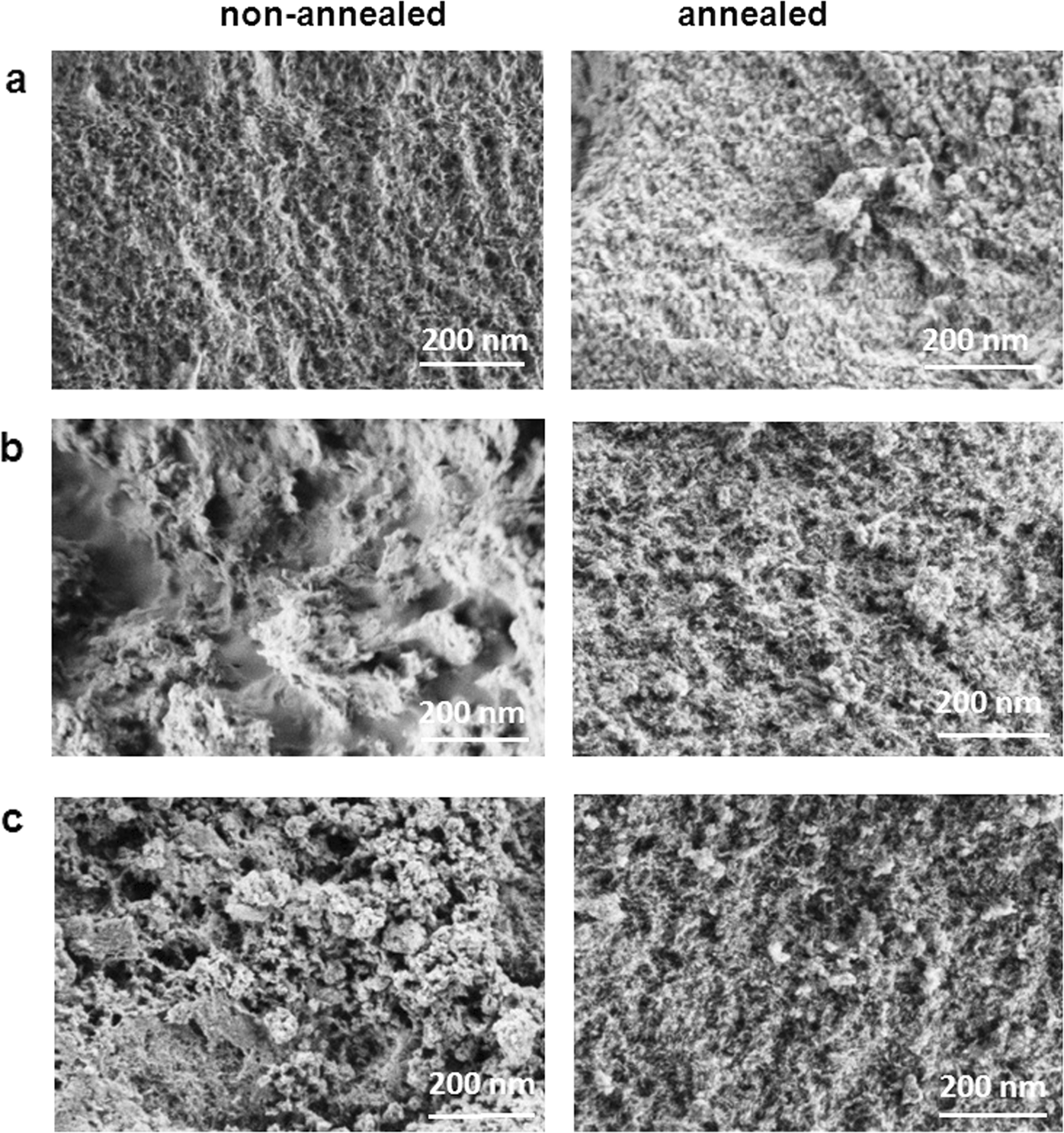 Formation of mesoporous structure in Al2O3–NaAlO2-based materials ...