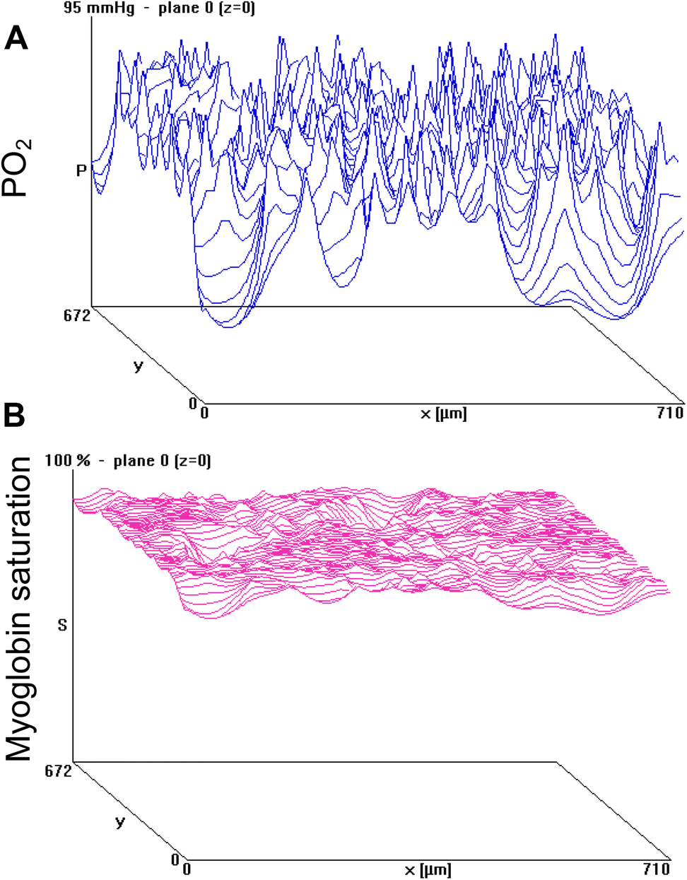 The role of the microcirculation in muscle function and plasticity ...