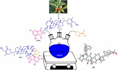 Chemistry of withaferin-A: chemo, regio, and stereoselective synthesis ...