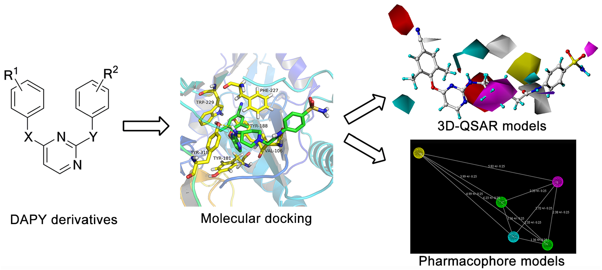Docking-based 3D-QSAR and pharmacophore studies on diarylpyrimidines as ...