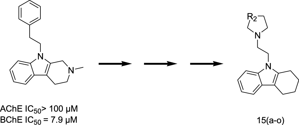 Design, synthesis, in vivo and in vitro studies of 1,2,3,4-tetrahydro ...
