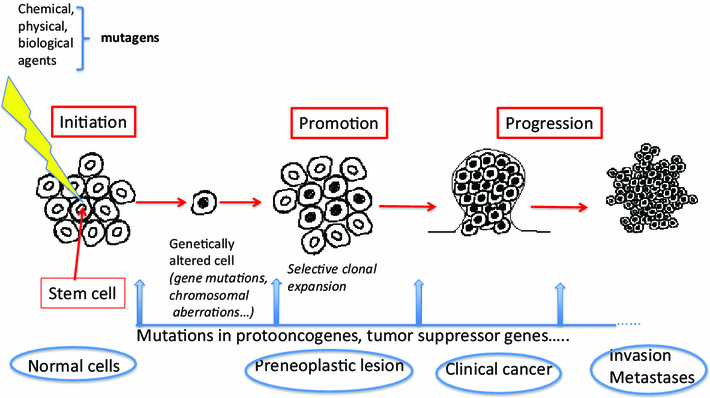 Towards a systemic paradigm in carcinogenesis: linking epigenetics and ...