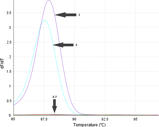 Rapid Assays for Specific Detection of Fungi of Scopulariopsis and ...