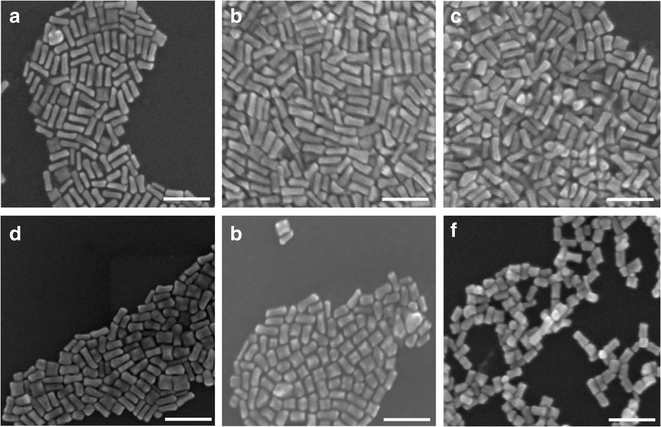 Efficient seed-mediated method for the large-scale synthesis of Au ...