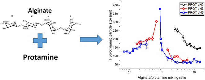 Optimisation of the self-assembly process: production of stable ...