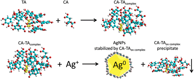 The role of tannic acid and sodium citrate in the synthesis of silver ...
