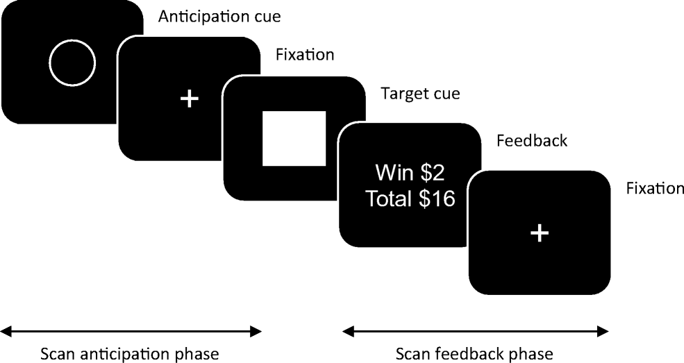 The Neural Substrate of Reward Anticipation in Health: A Meta-Analysis ...