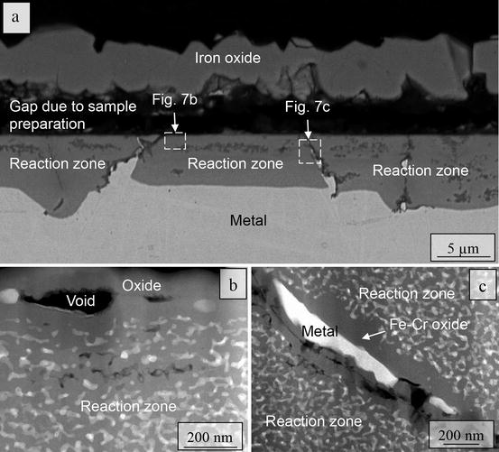 Oxidation After Breakdown of the Chromium-Rich Scale on Stainless ...