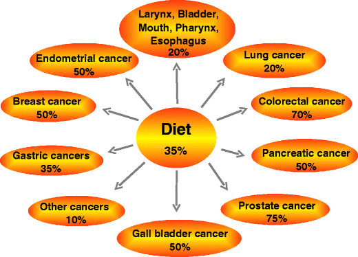 Cancer is a Preventable Disease that Requires Major Lifestyle Changes ...