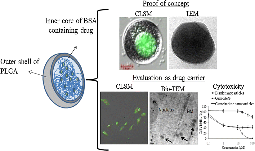 BSA-PLGA-Based Core-Shell Nanoparticles as Carrier System for Water ...