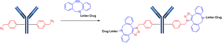 Current ADC Linker Chemistry | SpringerLink