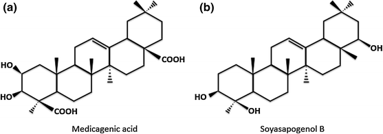 Saponins and their role in biological processes in plants | SpringerLink