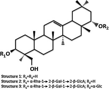 Saponins and their role in biological processes in plants | SpringerLink