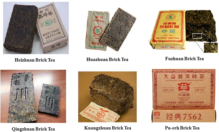 Brick dark tea: a review of the manufacture, chemical constituents and ...